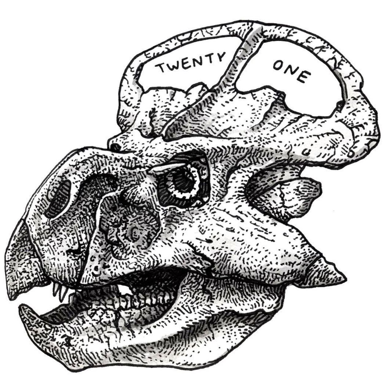 SIO 2025 - Bloc 1 - S1 - SISR - Leroux